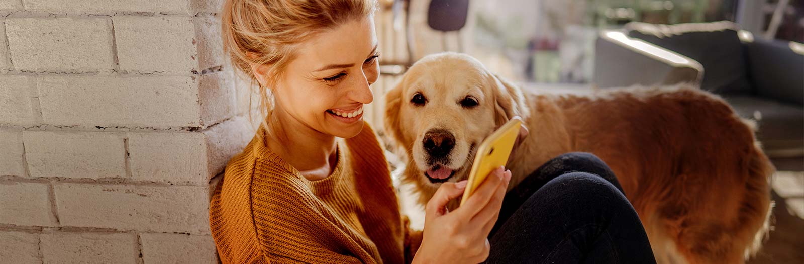 Vet Link Portal - Veterinary Specialists of the Rockies